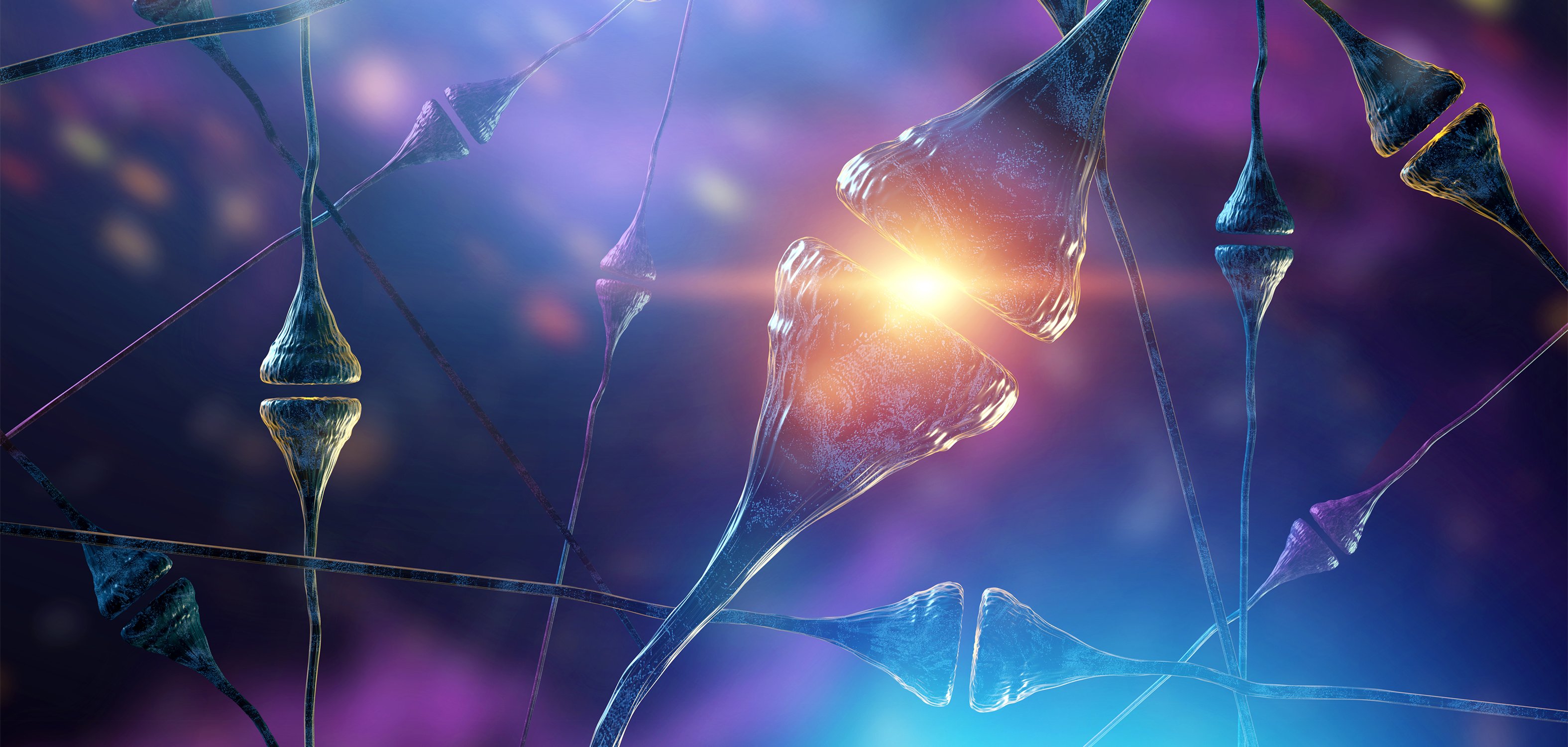 Modulation of Synaptic Structure and Function by Autism Risk Genes